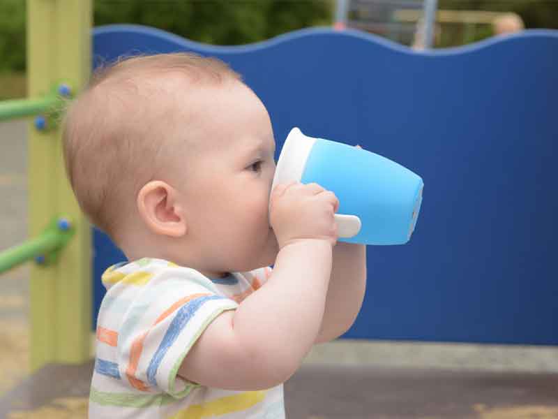 Brita Filter Water Safe For Babies Kekerandvannest